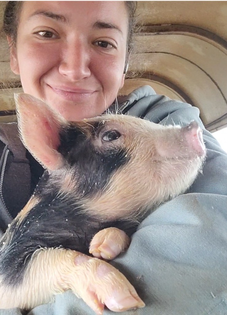 Hoop Snake Farm – Infinite Return: Cultivating Regenerative Abundance